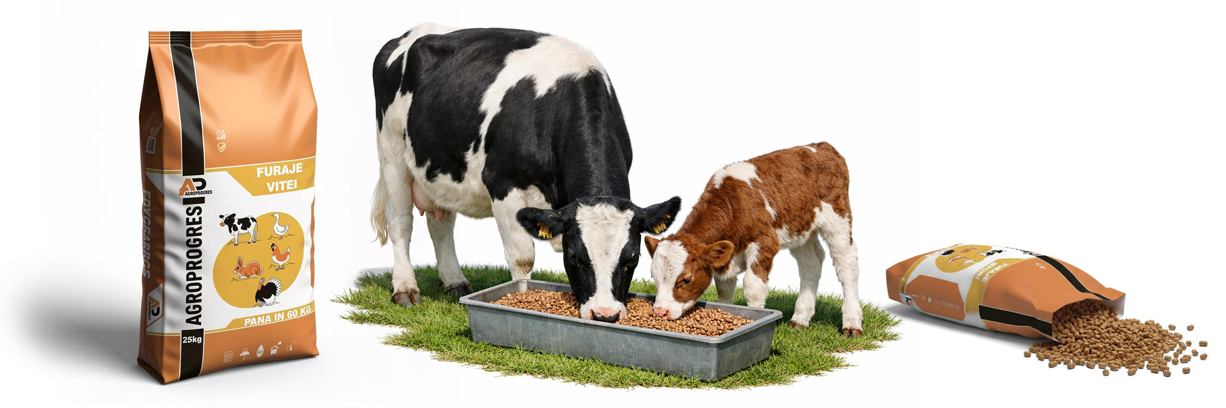 Furaje Bovine – Tehno MS - Romania