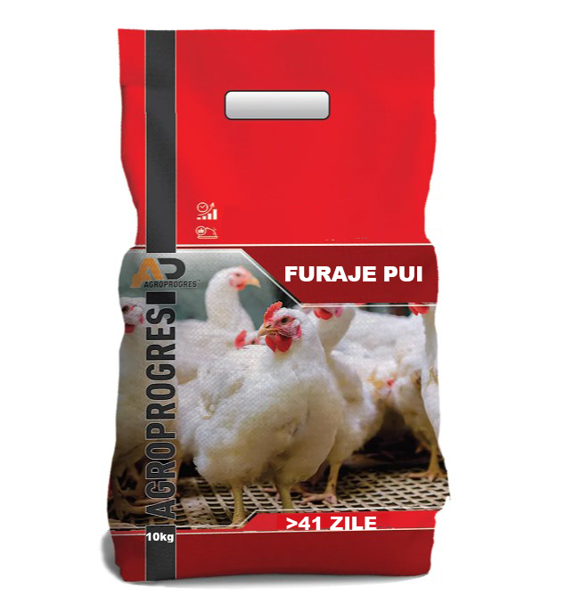 Furaje pui, peste 41 zile – TEHNO MSS SRL