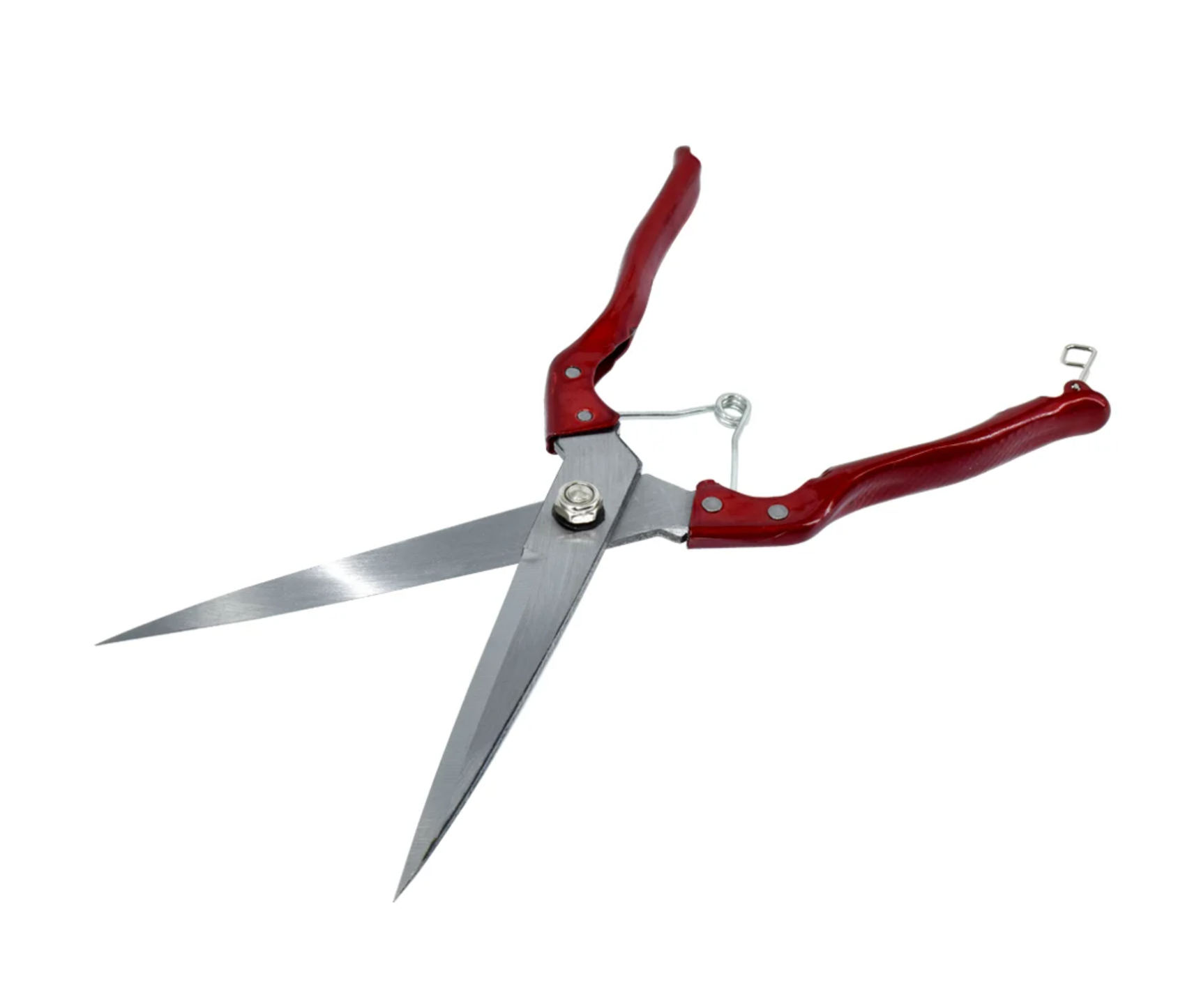 Foarfeca de tuns oi model HS02 – TEHNO MSS SRL