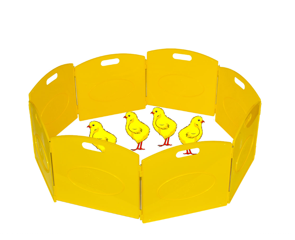 Tarc pui, animale de companie – Tehno MS - Romania